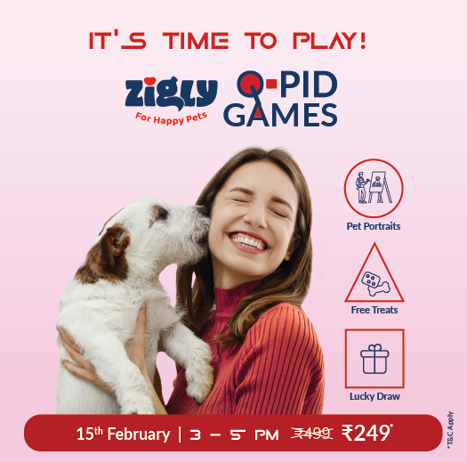 Zigly - Vet Clinic, Pet Grooming & Pet Products Shop Near Vaishali ...