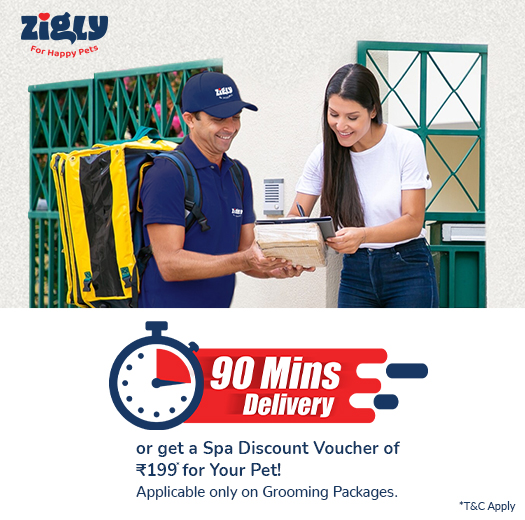Zigly New BEL Road, Bengaluru | Vet Clinic, Pet Grooming & Products